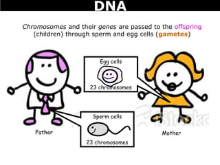 02 dna | PPT