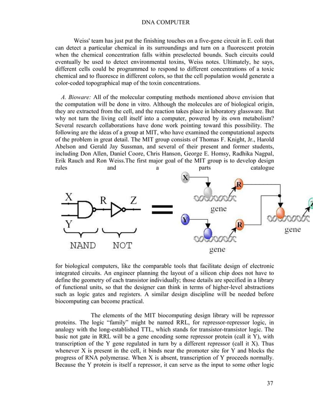 DNA COMPUTER | PDF