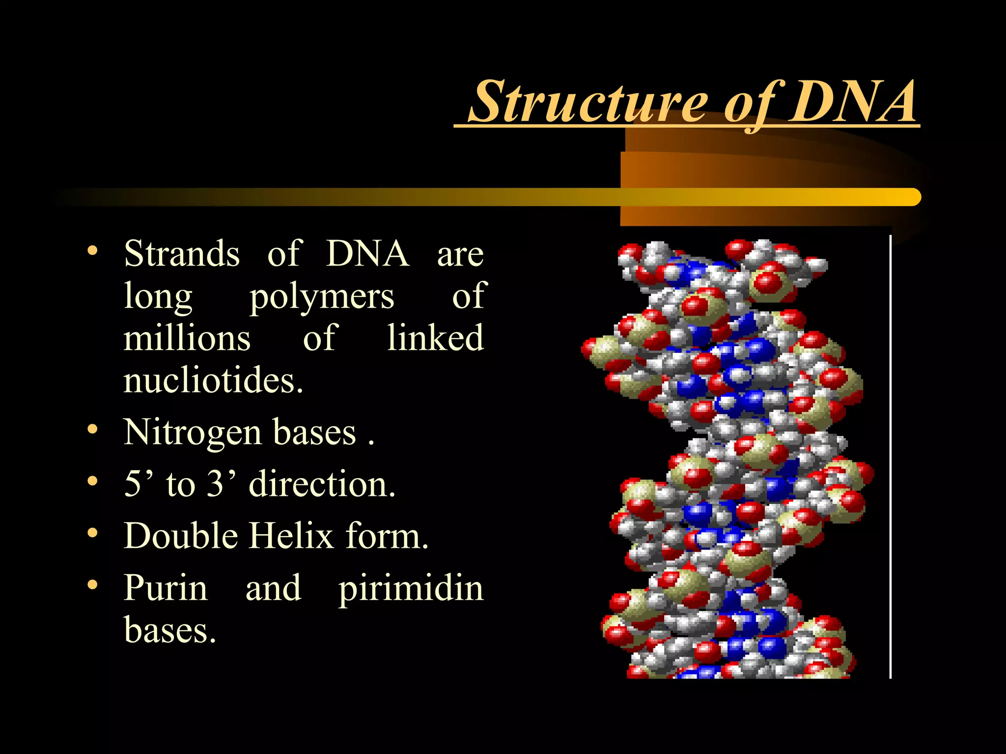 02 dna computers | PPT