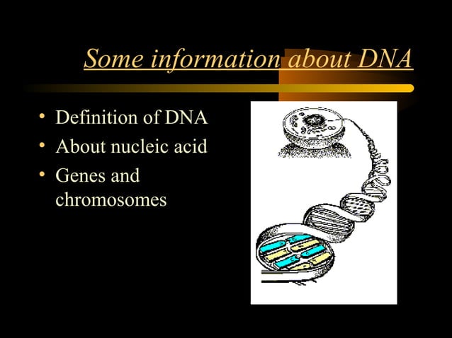 02 dna computers | PPT