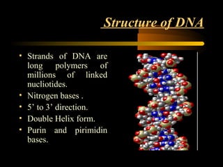 02 dna computers | PPT