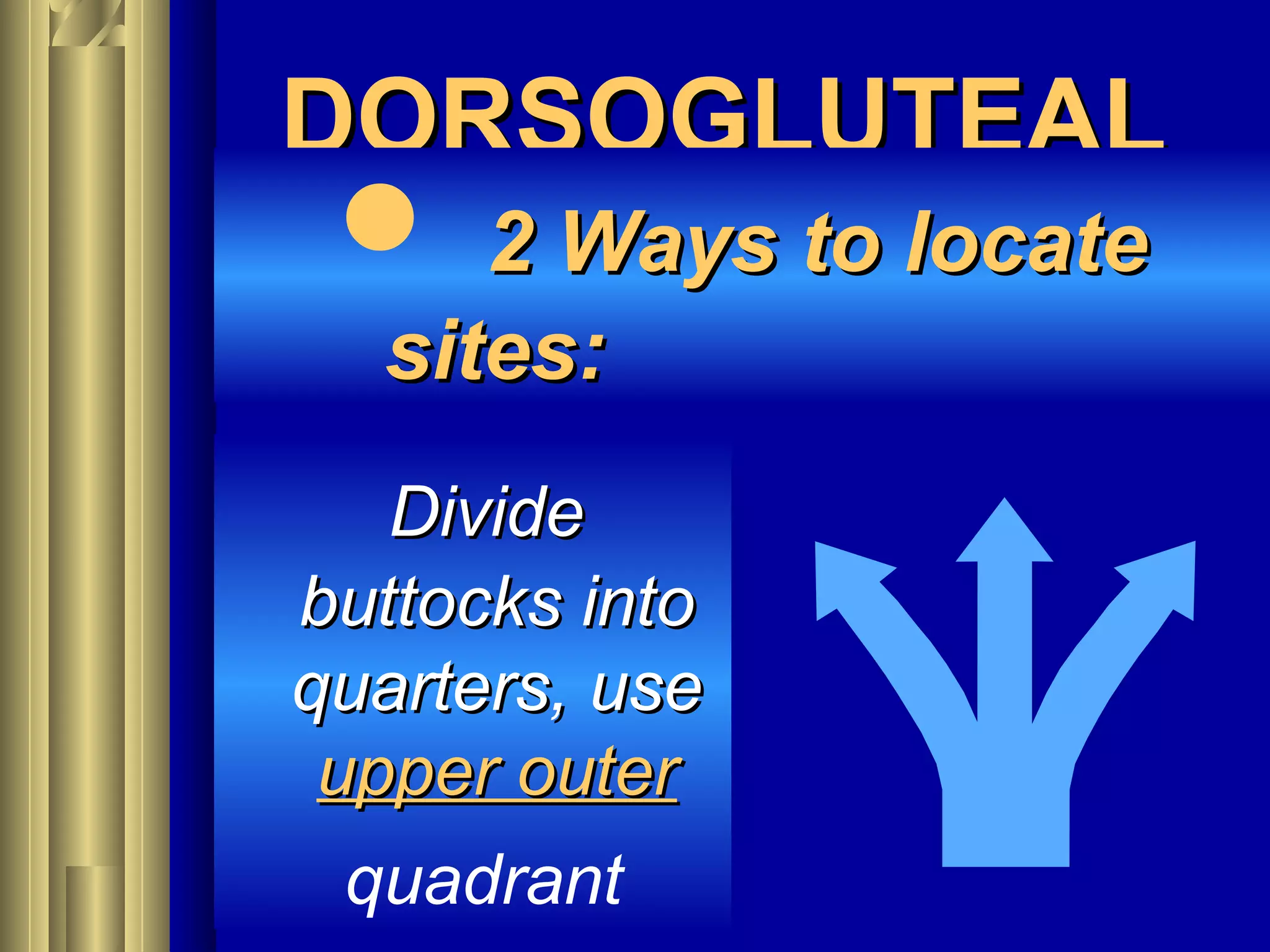 INJECTION SITES | PPT