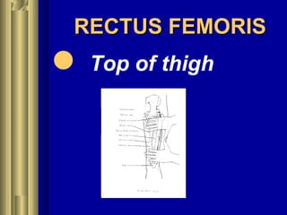 INJECTION SITES | PPT