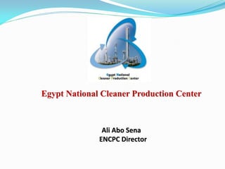 Egypt National Cleaner Production Centre | PDF