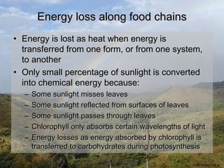 02 Energy Flow through Ecosystems | PPT