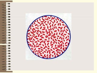 Pathogenic Enterobacteriaceae | PPT
