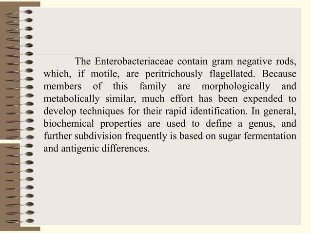 Pathogenic Enterobacteriaceae | PPT