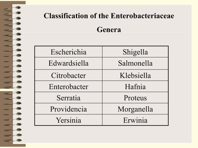 Pathogenic Enterobacteriaceae | PPT