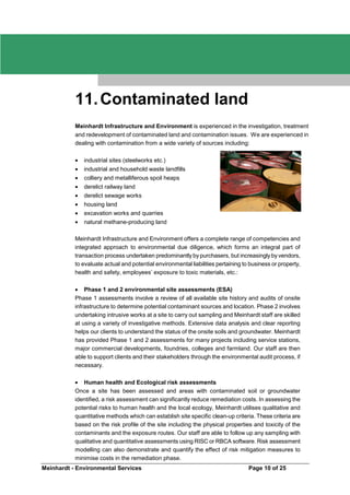 Environmental Capability | PDF
