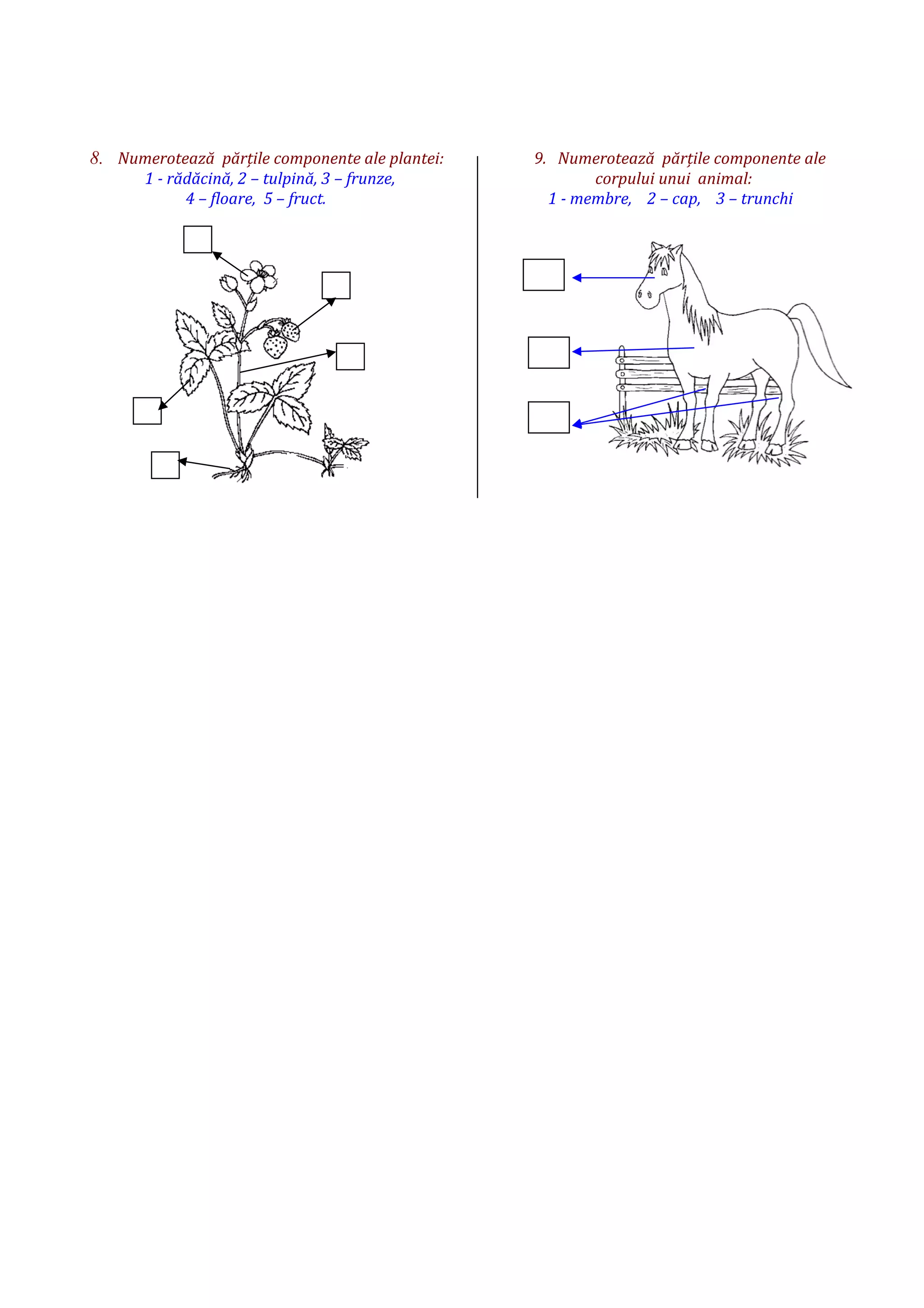 0 2 evaluare_sumativa_sem_i | PDF