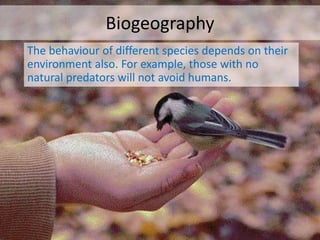 Biogeography Examples