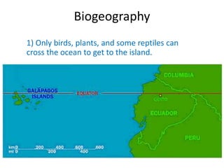 02 evidence of evolution biogeography | PPTX