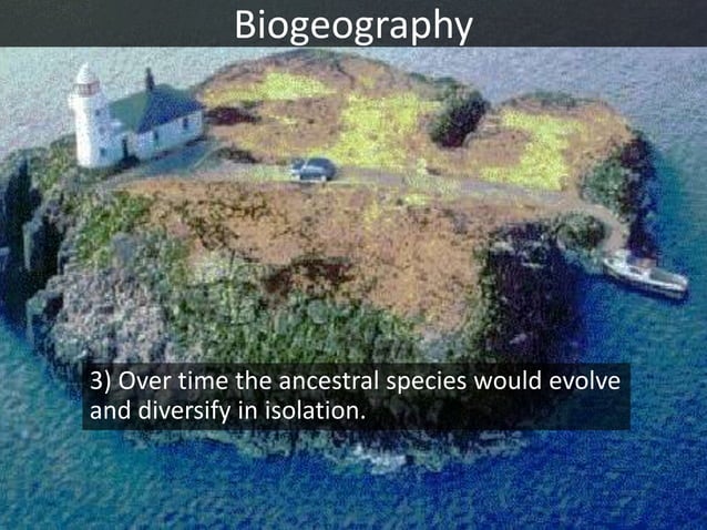 02 evidence of evolution biogeography | PPTX