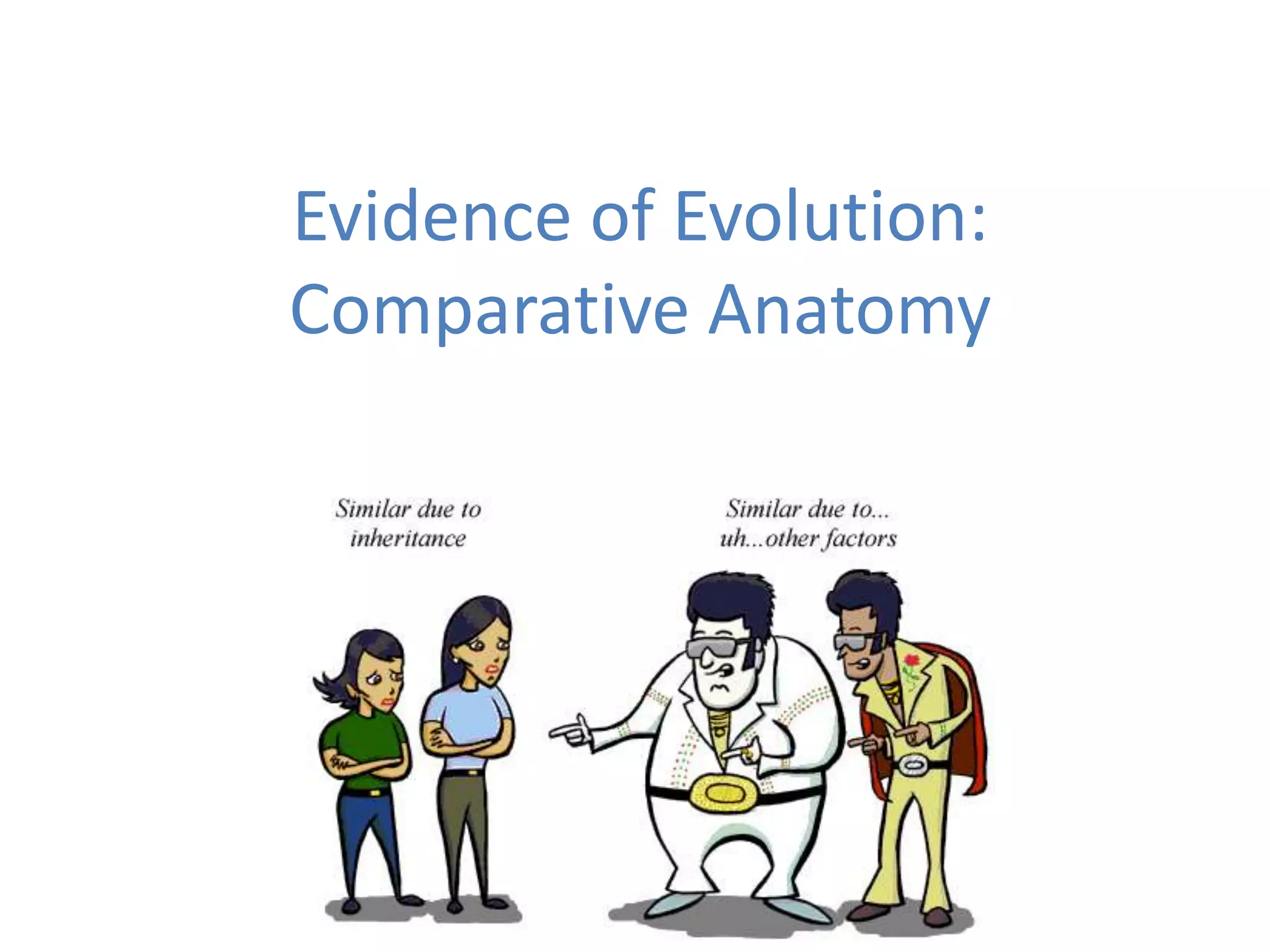 02 evidence of evolution comparative anatomy | PPTX
