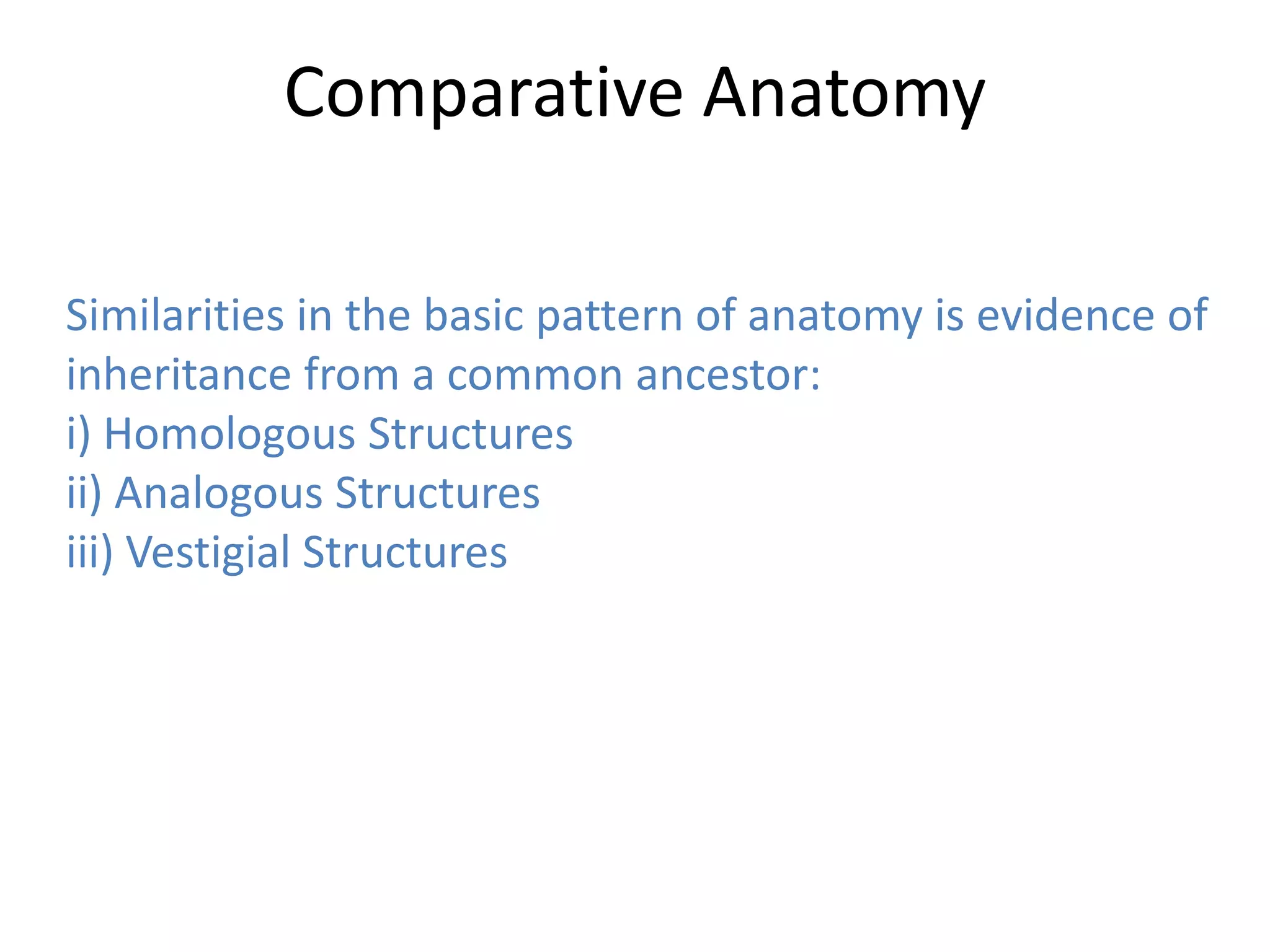 02 evidence of evolution comparative anatomy | PPTX