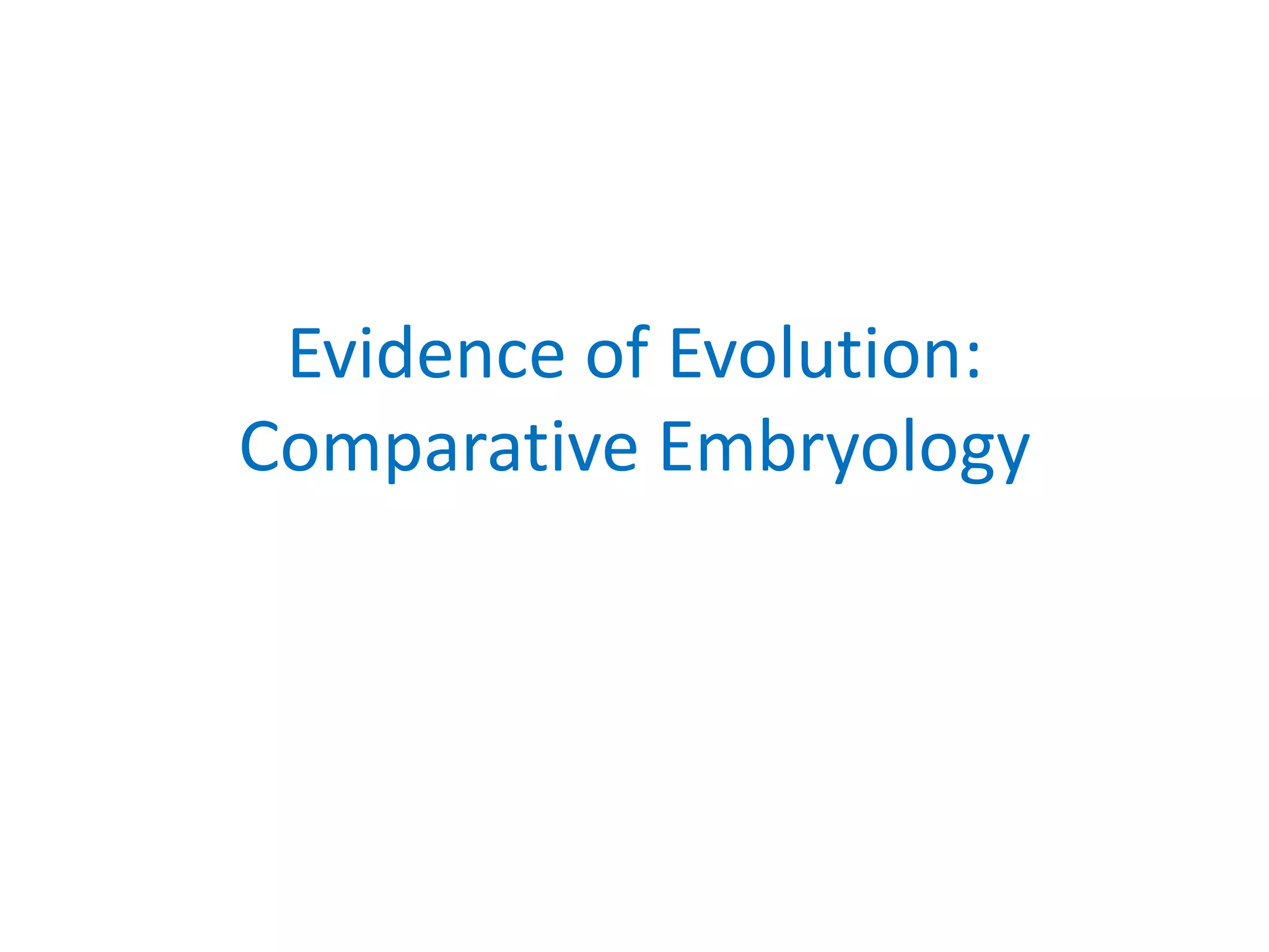 02 evidence of evolution embryology | PPTX