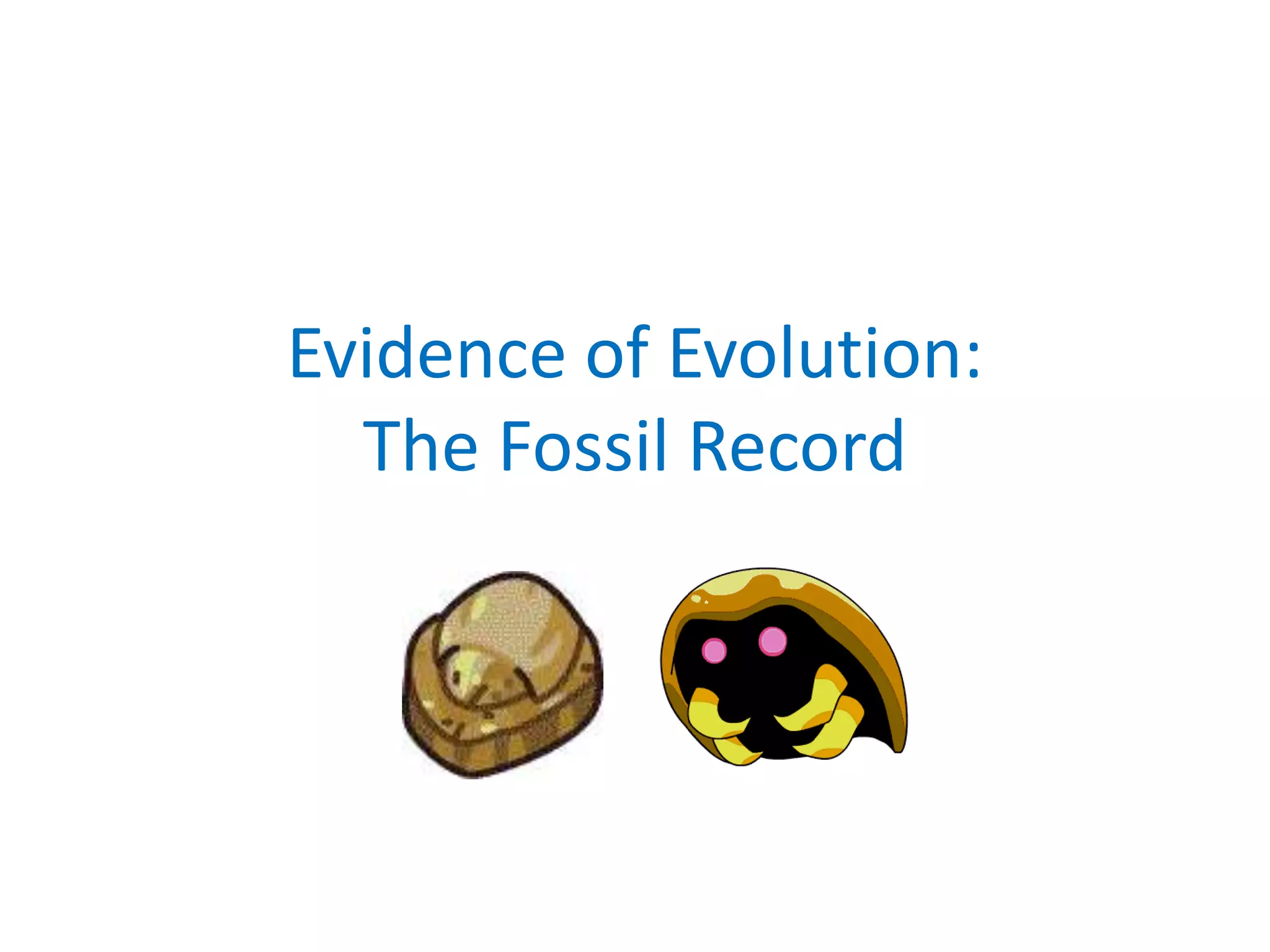 02 evidence of evolution fossils | PPTX