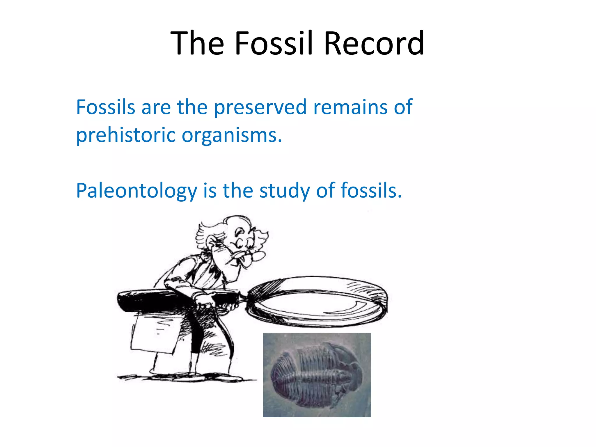 02 evidence of evolution fossils | PPTX