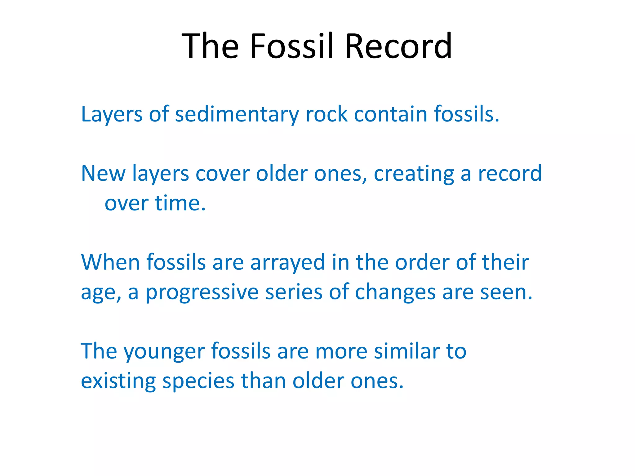 02 evidence of evolution fossils | PPTX