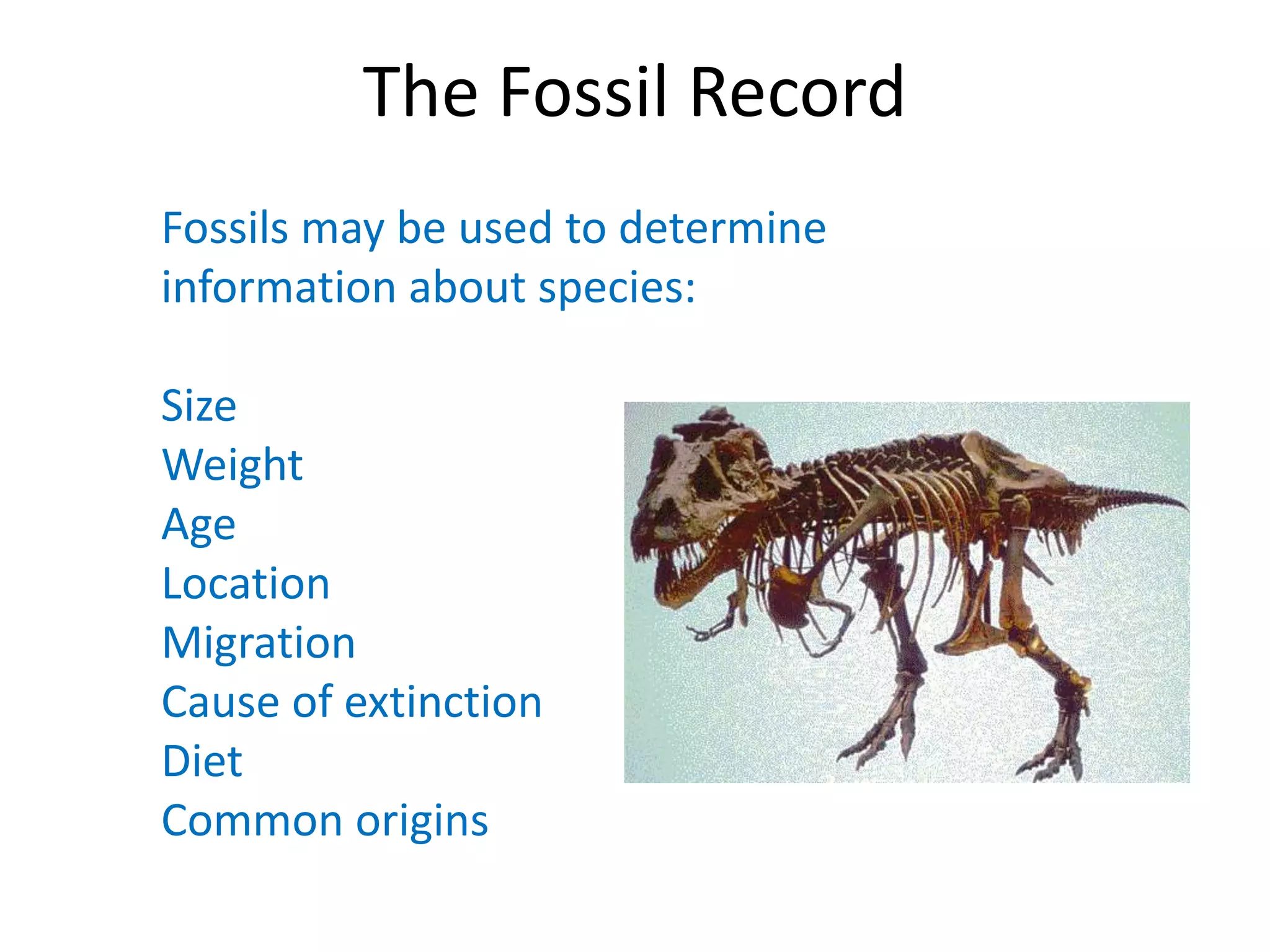 02 evidence of evolution fossils | PPTX