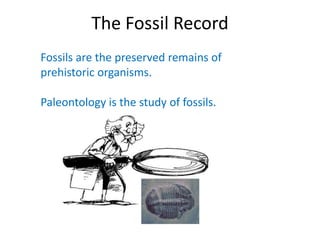 02 evidence of evolution fossils | PPTX
