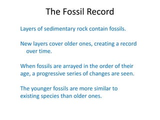 02 evidence of evolution fossils | PPTX