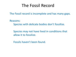 02 evidence of evolution fossils | PPTX