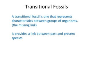 02 evidence of evolution fossils | PPTX