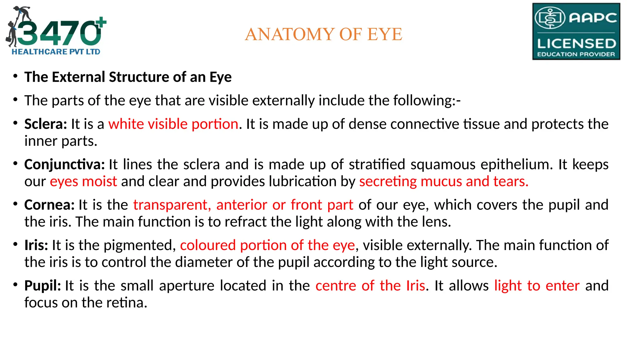 Eye_visual system [all about eye]....... | PPTX | Eye and Vision ...