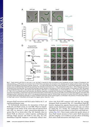 PNAS_2014-Ptacin | PDF