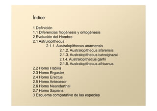 Filogenesis Humana | PDF
