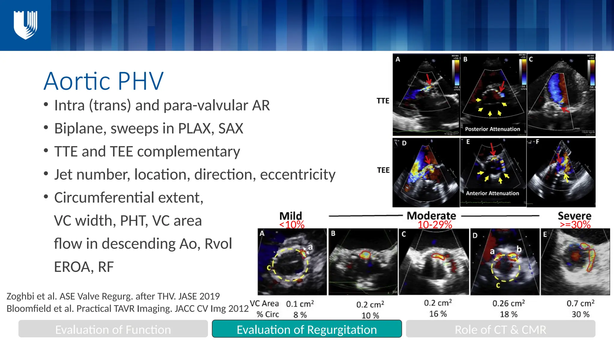 ASE Updates: Prosthetic Heart Valves (Cardiac Imaging Symposium) | PPTX