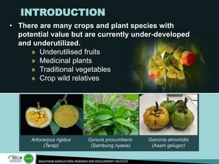 Country Status Reports on Underutilized Crops by Mohamad Roff, Malaysia ...