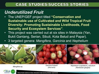Country Status Reports on Underutilized Crops by Mohamad Roff, Malaysia ...