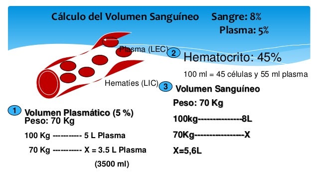 Fisiología del Medio Interno