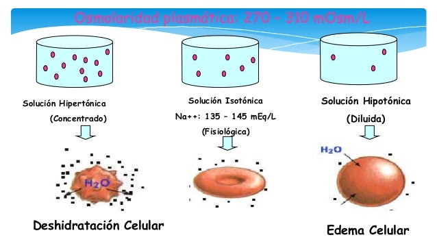 Fisiología del Medio Interno