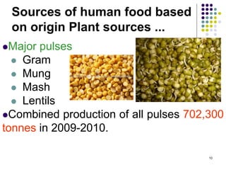 Food sources | PPT