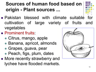 Food sources | PPT