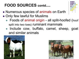 Food sources | PPT