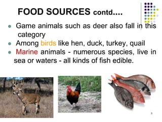 Food sources | PPT