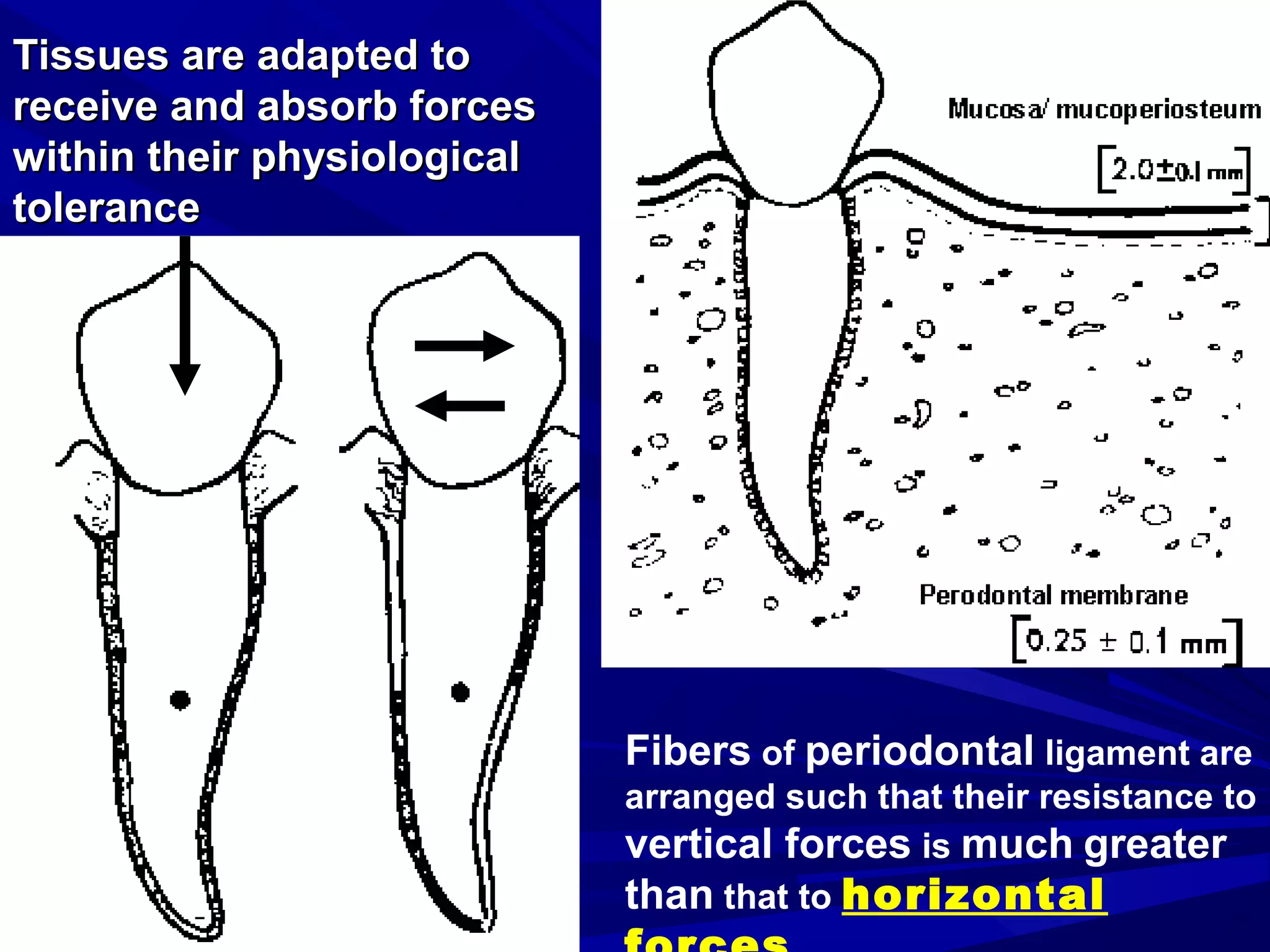 1. forces acting on rpd | PPT