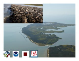 Dr. Boze Hancock, "Setting Shellfish Restoration Goals To Meet Society ...