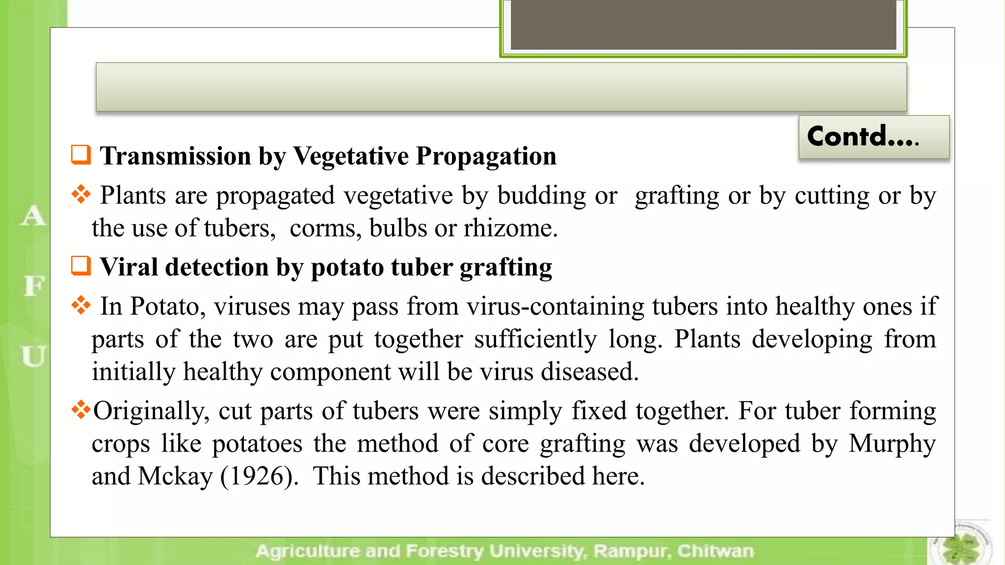 Viral detection in Potato by Tuber grafting | PPTX