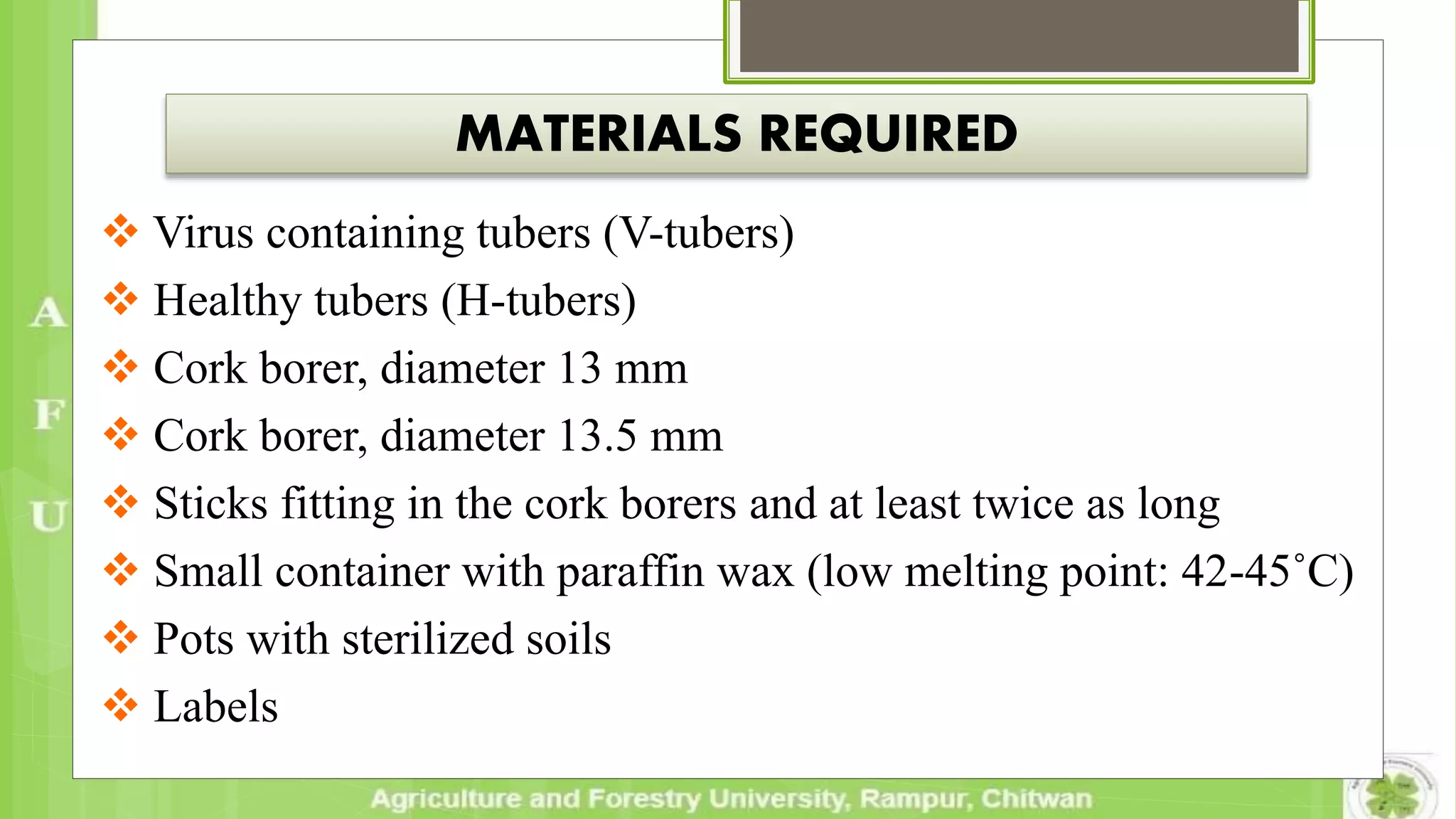 Viral detection in Potato by Tuber grafting | PPTX