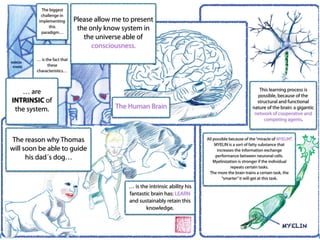 Lean Manga. Hoshin Kanri | PPT