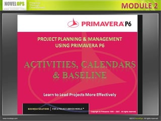 Activity, Baseline & Calendars | PDF