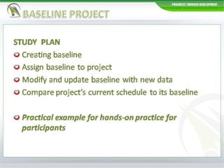 Activity, Baseline & Calendars | PDF