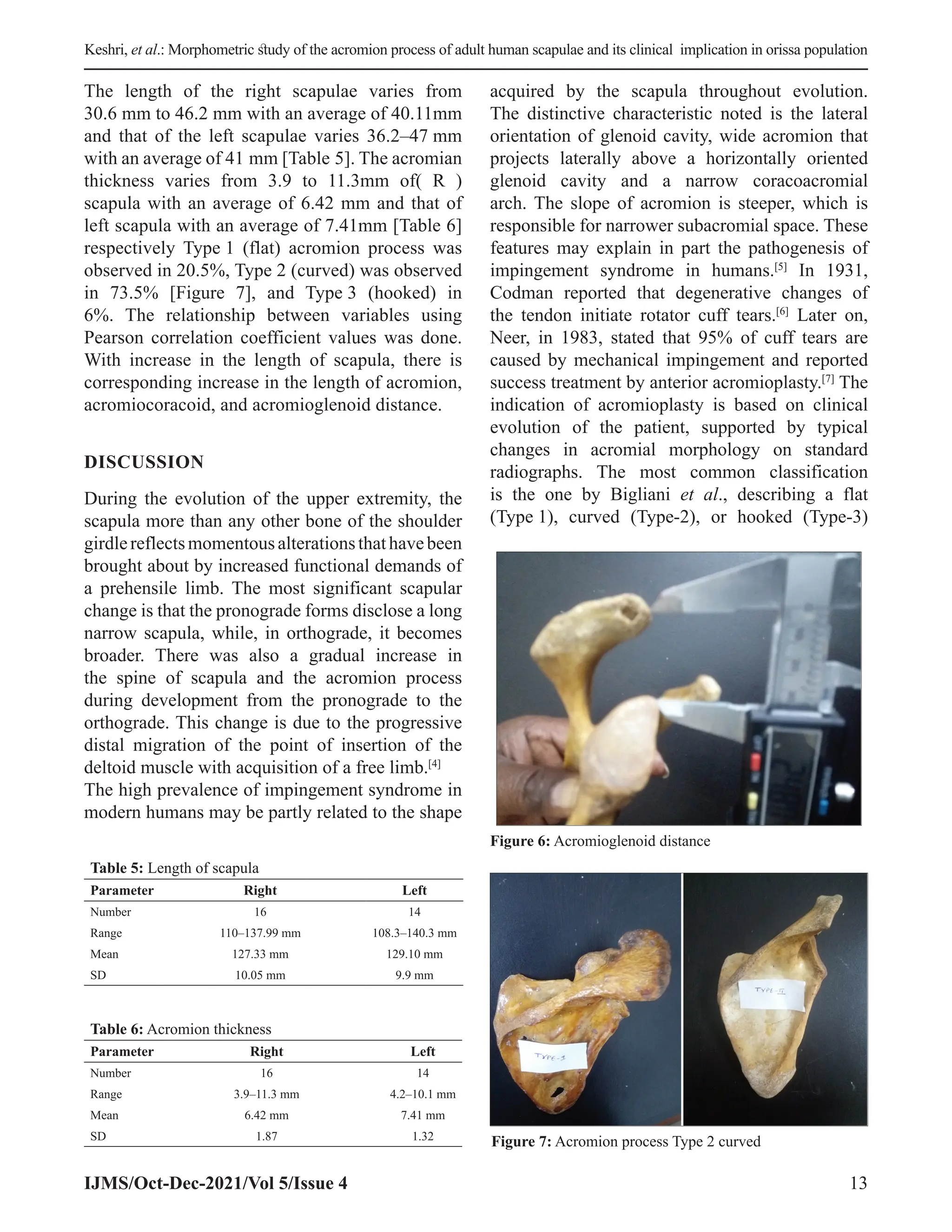 Morphometric study of the acromion process of adult human scapulae and ...