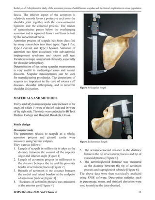 Morphometric study of the acromion process of adult human scapulae and ...