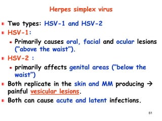 02 infectious disease DNA viruses | PPT